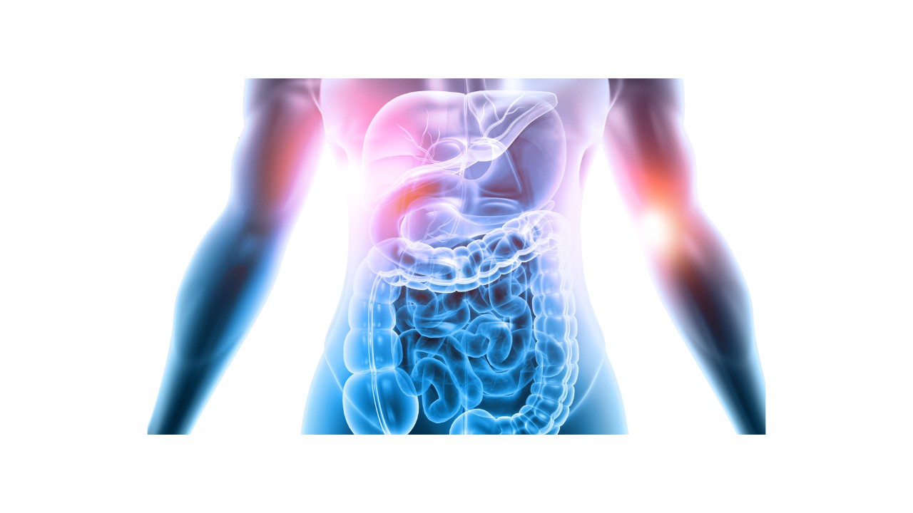 Gastroenterology | ODE | REWIND | RCGP Learning
